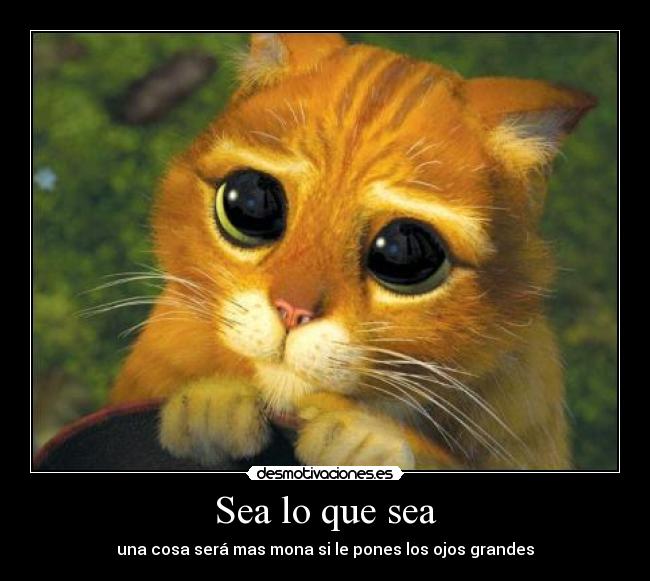 Sea lo que sea | Desmotivaciones